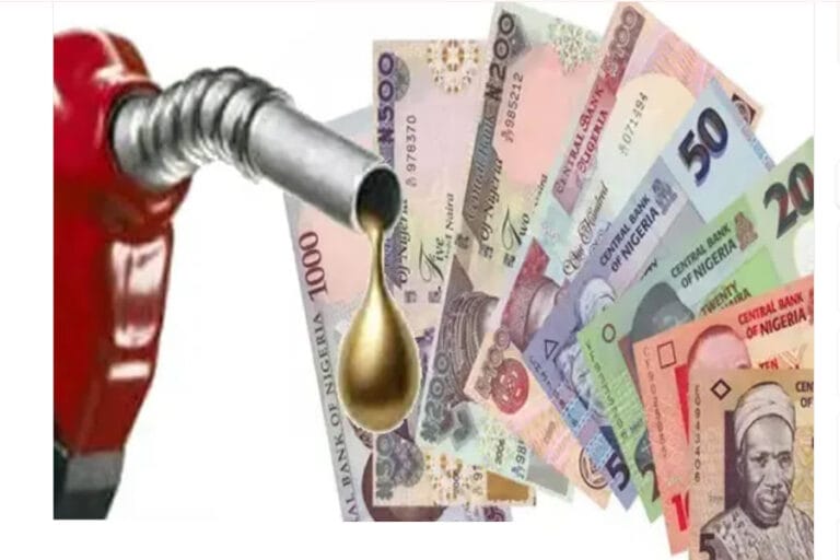 Hardships are caused by the Naira Float, not subsidy removal – Expert - InfoHub Nigeriana